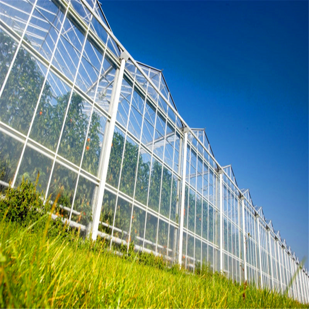 Intelligent Polycarbonate Greenhouse for Flower/Vegetable/Planting/Farm ...